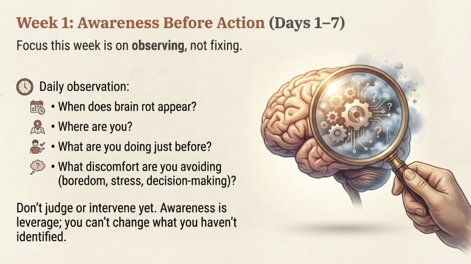 The 30-Day Brain Rot Challenge: Rewire Your Brain for Action - Light On ...